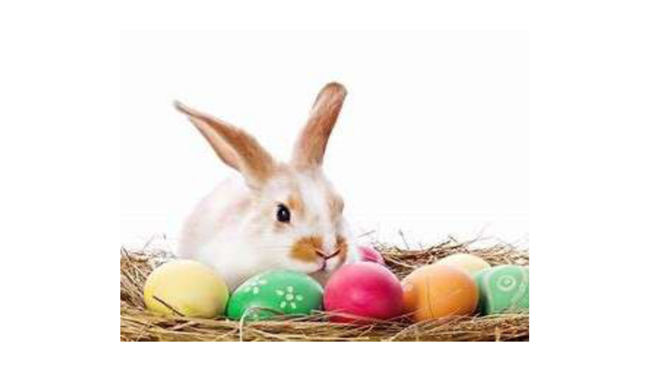 08 Images of Easter – The Cathedral Church of Saint Michael & All Angels